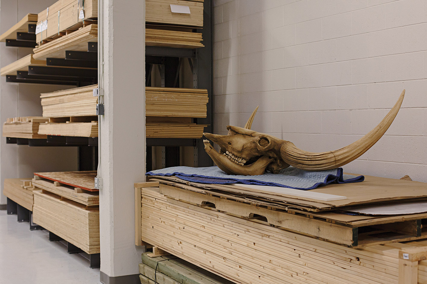 Photos: Inside the Royal Alberta Museum’s mammoth move | Canadian ...