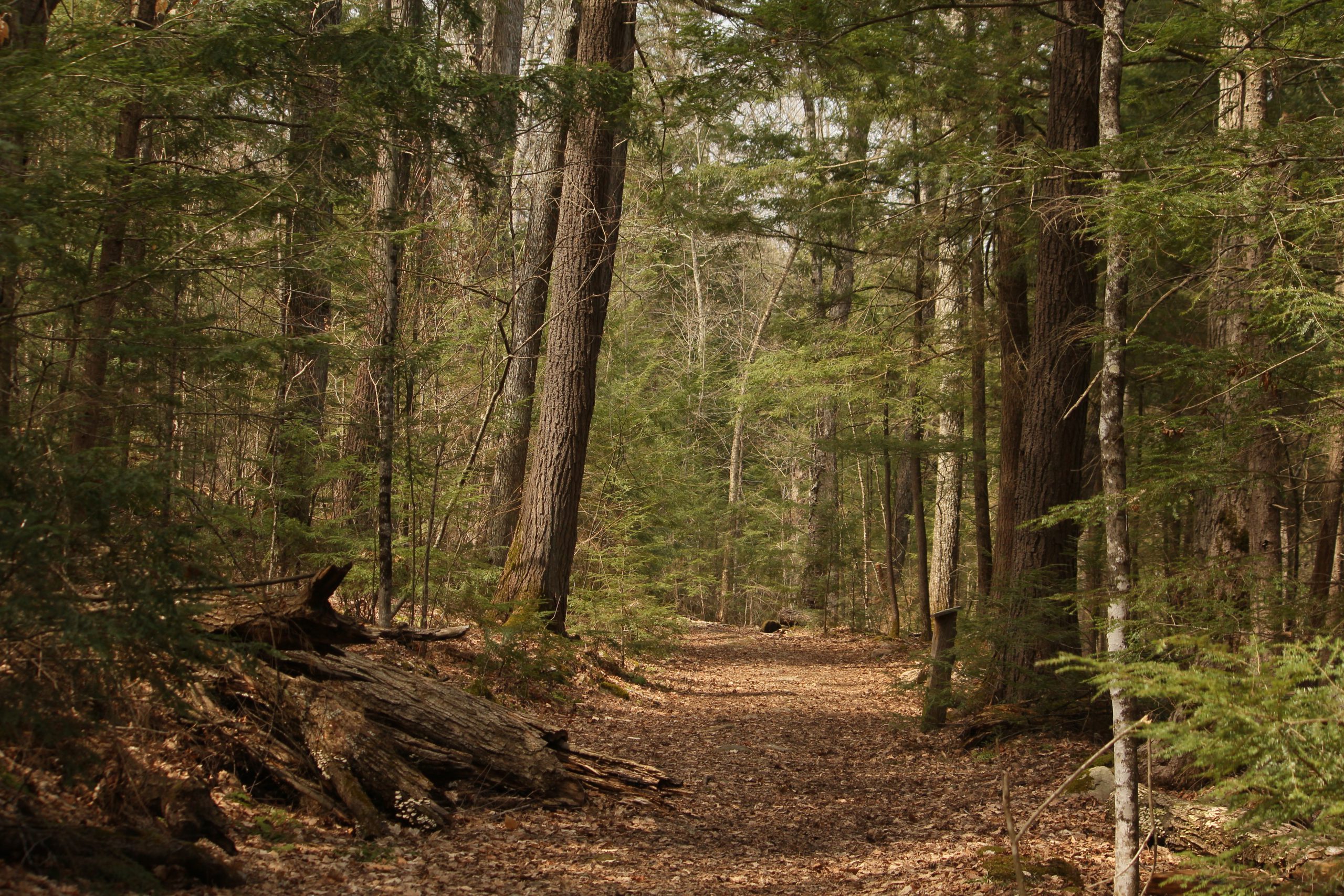 Outdoor School: Contemporary Environmental Art | Canadian Geographic
