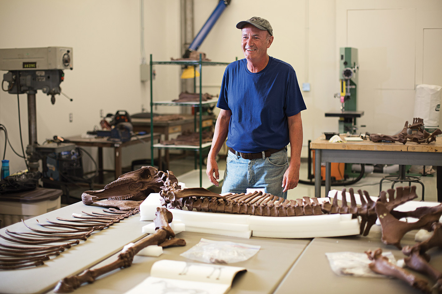 Photos: Inside the Royal Alberta Museum’s mammoth move | Canadian ...