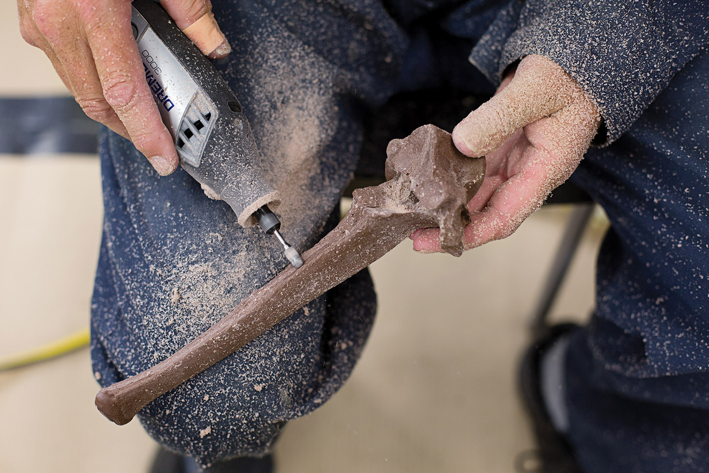 Photos: Inside the Royal Alberta Museum’s mammoth move | Canadian ...
