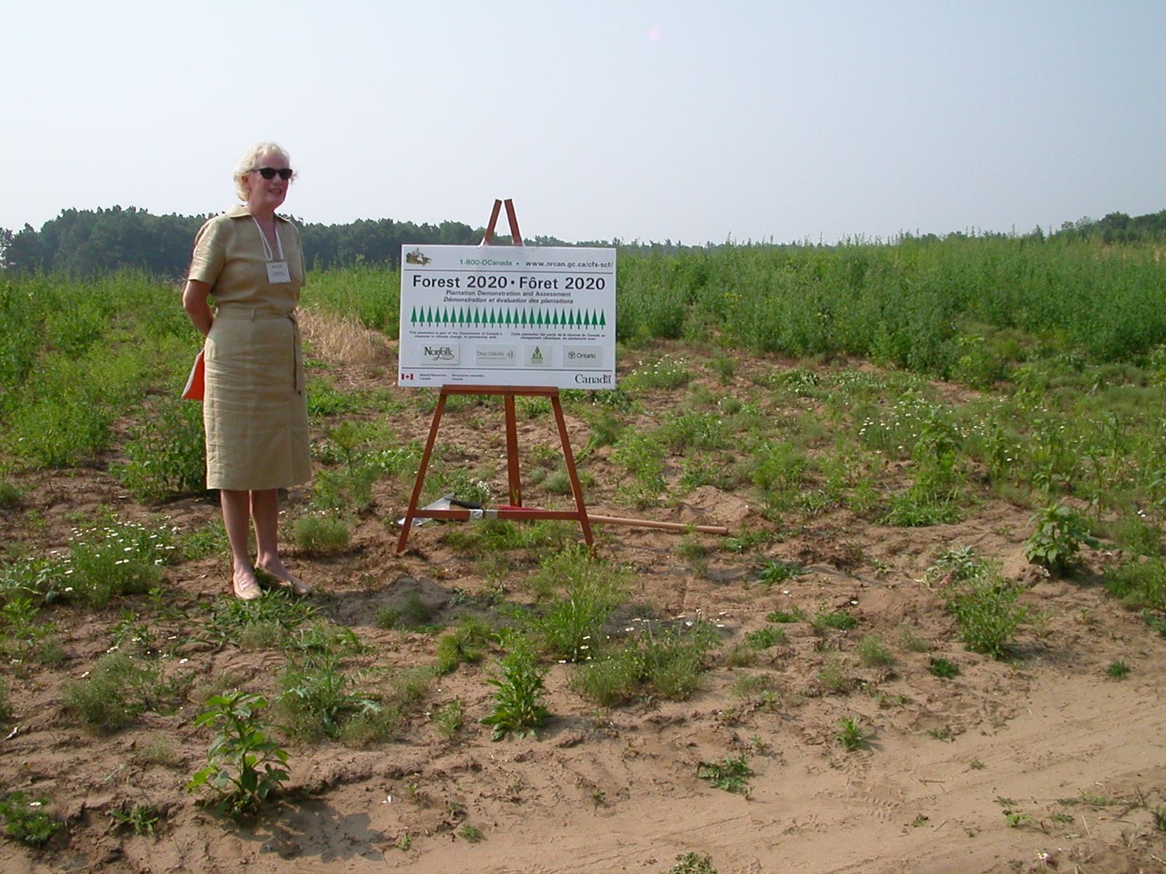 They turned their farm into a forest. Fifteen years later, it’s ...