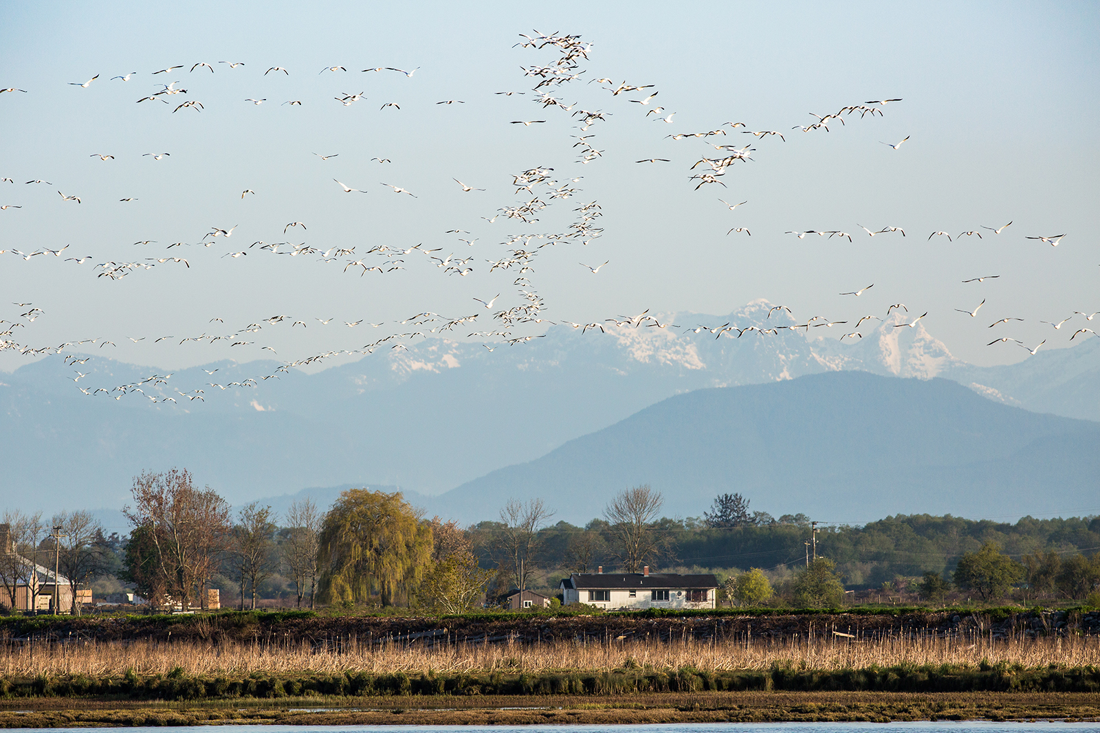 The fate of the Fraser River delta | Canadian Geographic