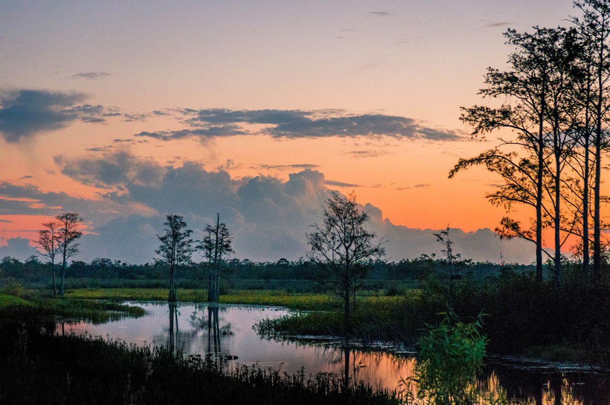 Preserving Acadian culture in Cajun country | Canadian Geographic