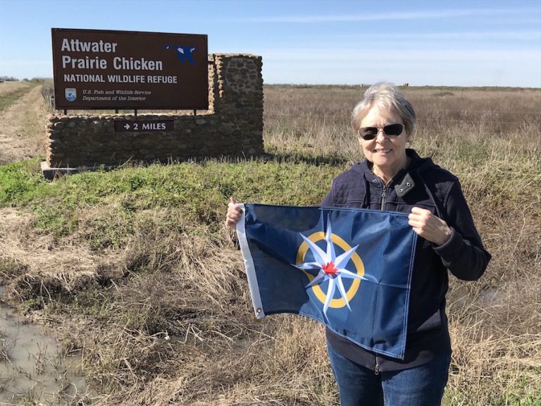 Vulnerable Sprague’s pipit spotted on Roberta Bondar avian migration ...