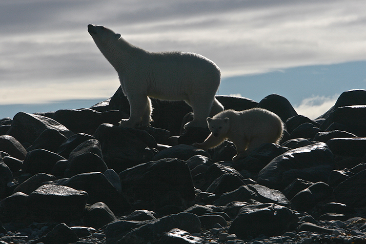 Life in the high Arctic: James Raffan | Canadian Geographic