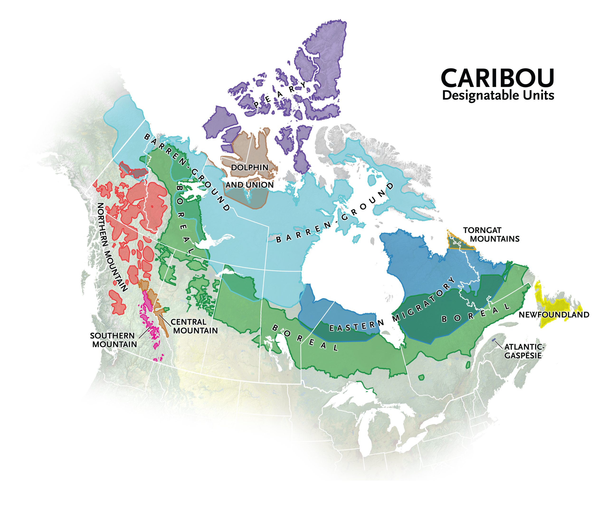 At risk of extinction | Canadian Geographic