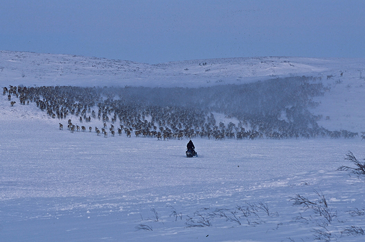 Life in the high Arctic: James Raffan | Canadian Geographic