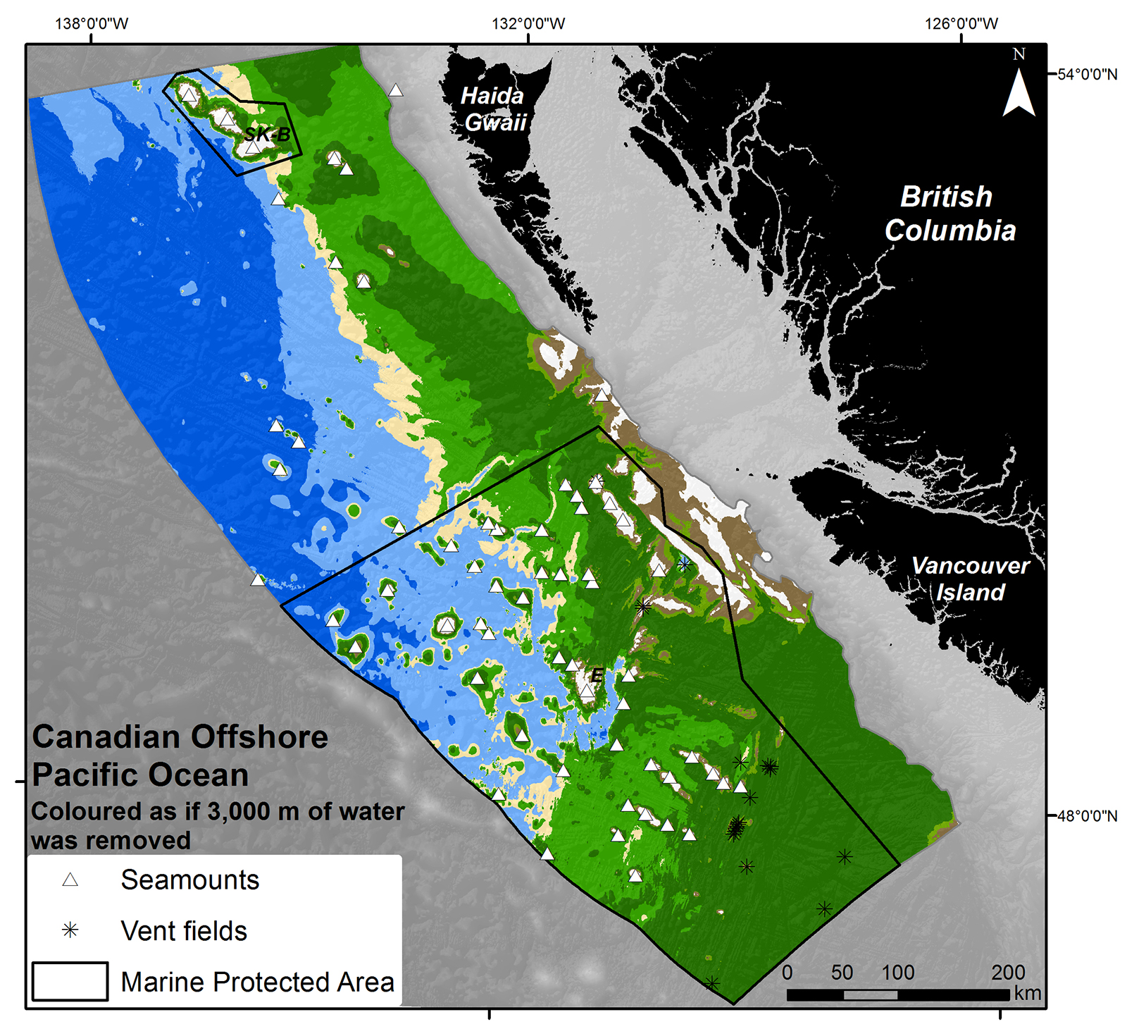 Life on mountains in the sea | Canadian Geographic
