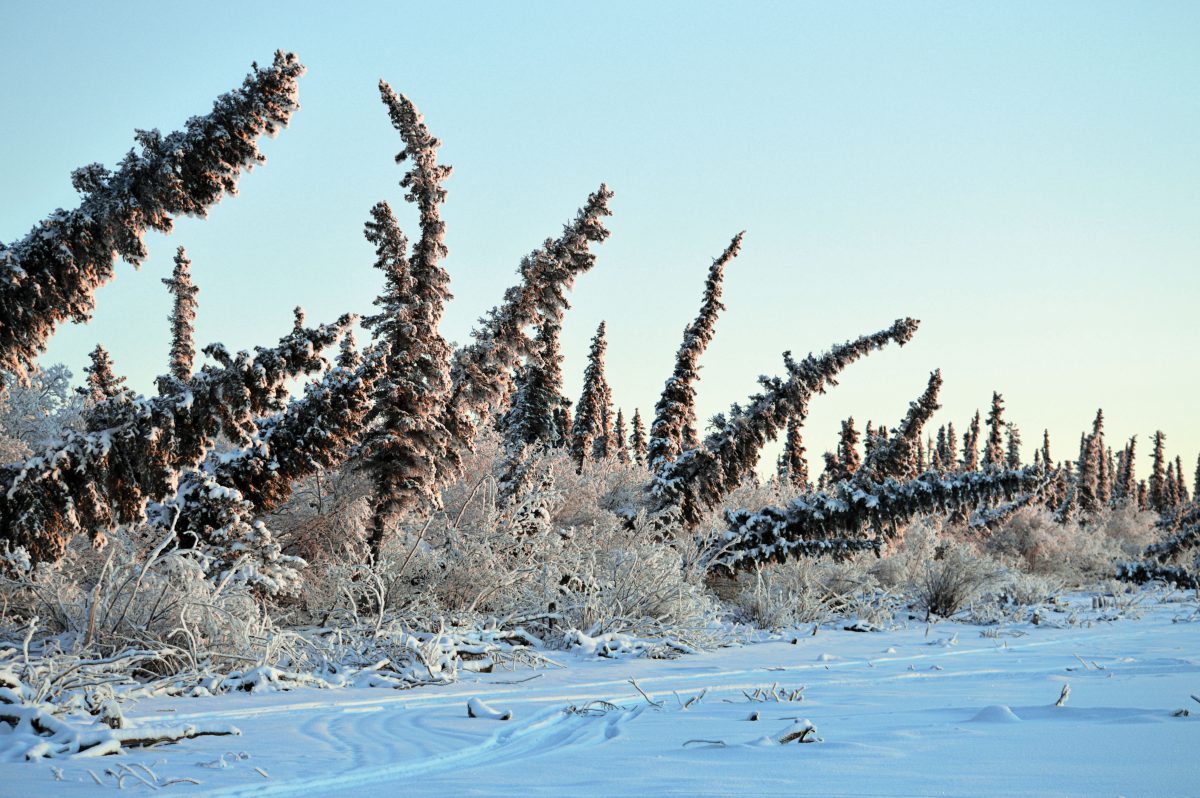 Arctic permafrost is thawing. Here’s what that means for Canada’s North ...