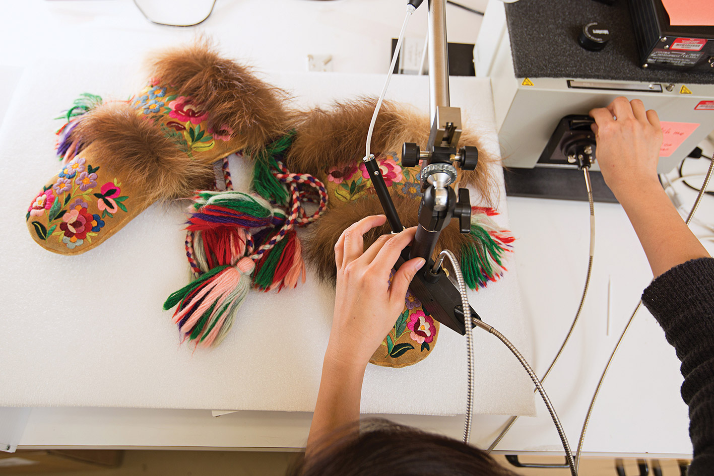 Photos: Inside the Royal Alberta Museum’s mammoth move | Canadian ...