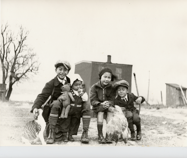 50 years of multiculturalism: Where lived experiences make history ...