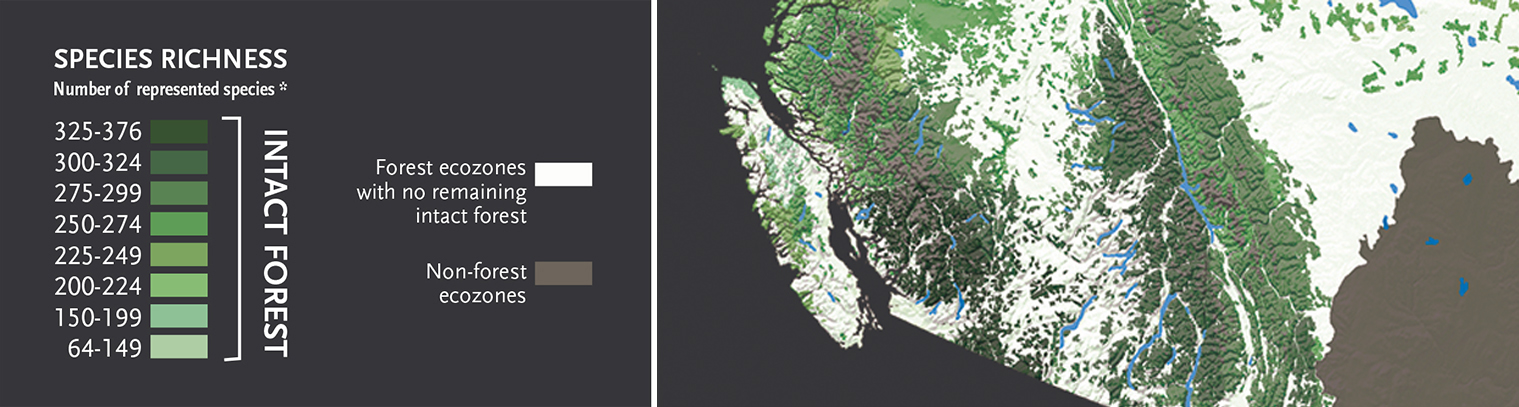 Mapping Canada’s intact forests | Canadian Geographic