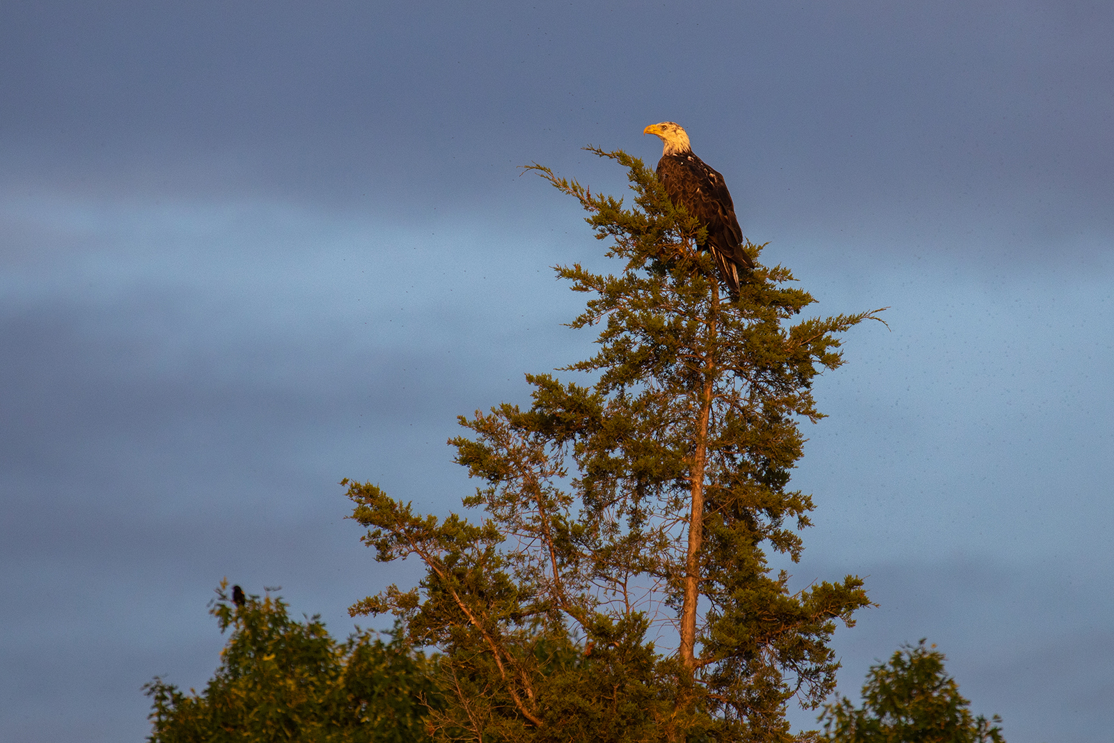 Photos: Point Pelee National Park at 100 | Canadian Geographic