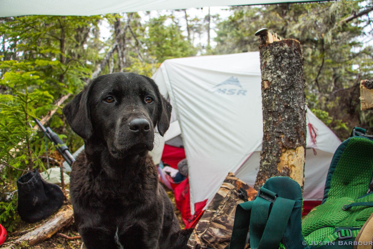 Canoeing the untouched wilderness of the Labrador Peninsula | Canadian ...