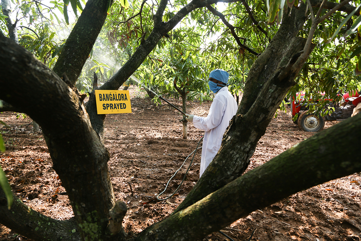 Stopping the rot | Canadian Geographic