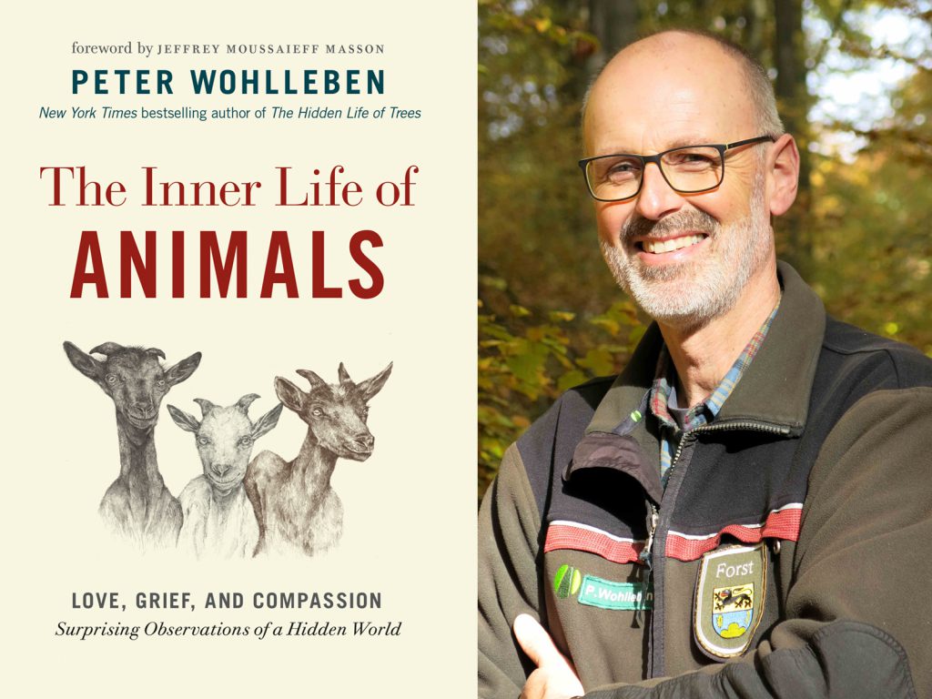 New book explores the secret emotional lives of animals | Canadian ...
