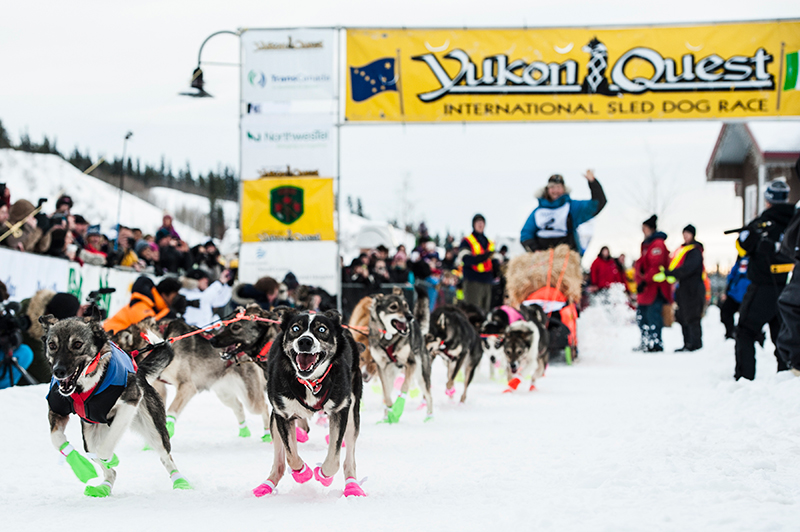 The toughest sled dog race in the world | Canadian Geographic