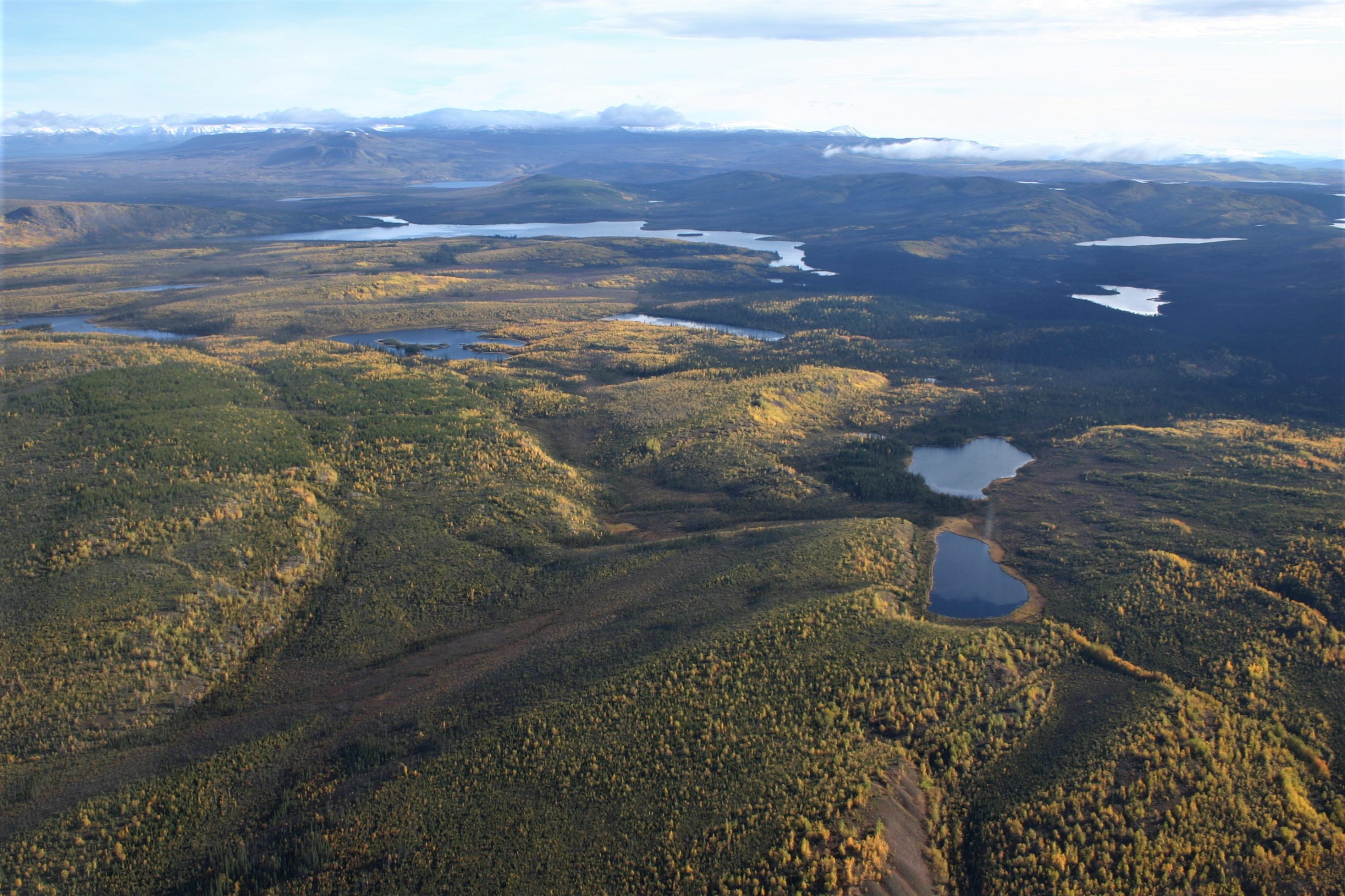 New framework identifies climate change “refugia” in boreal forest | Canadian Geographic