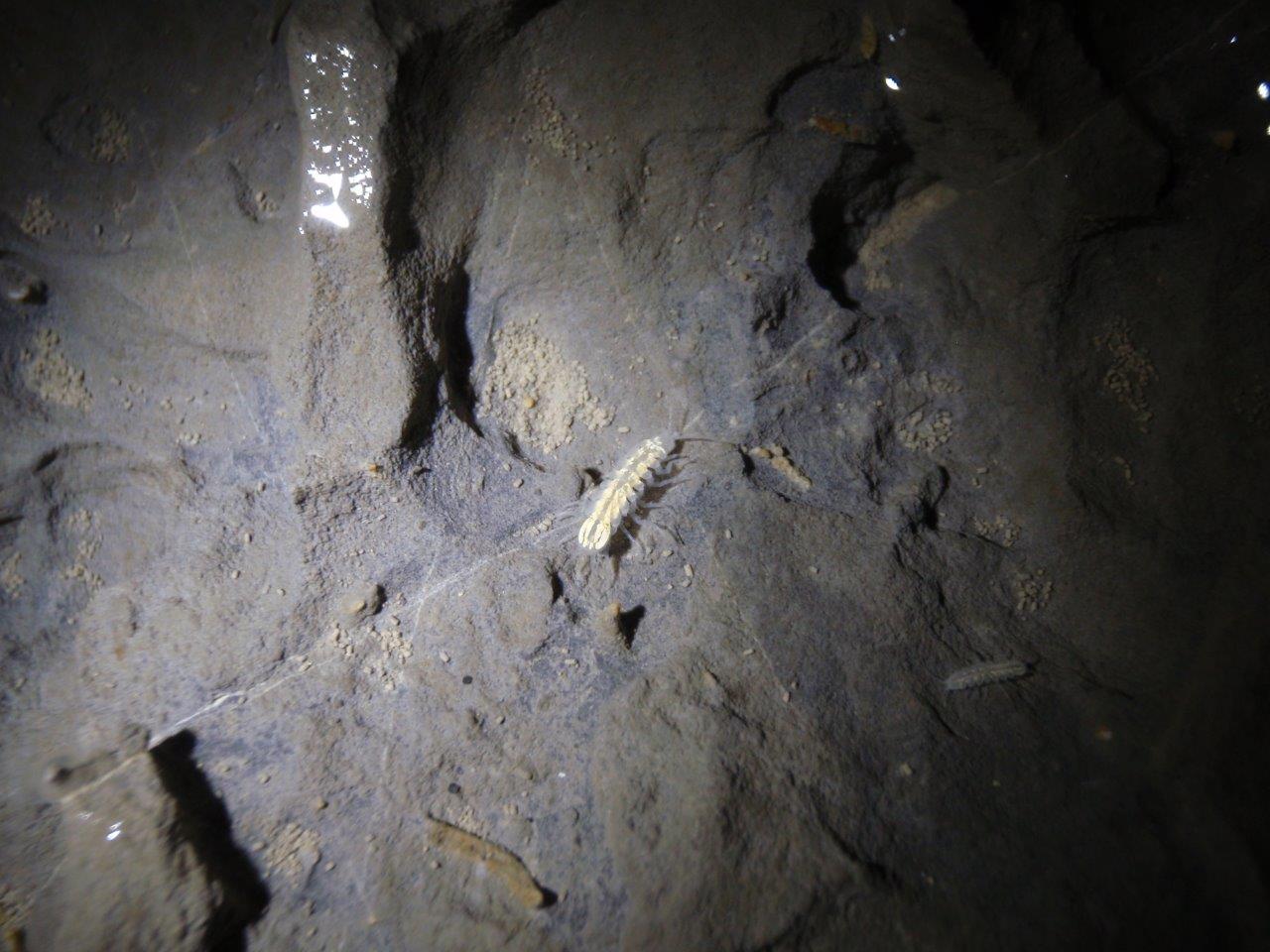 Why cave exploration matters | Canadian Geographic